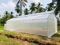 China 300 Square Meter Cucumber Greenhouse Single Span Tunnel Design for sale
