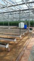 China Hydroponic Planting Gutter For Growing Chili Pepper Cucumber And Strawberry for sale