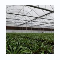 China Galvanized Steel Frame Single Layer Film Greenhouse For Large Scale Commercial Farming for sale