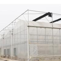 China Galvanized Steel Frame Single Layer Film Greenhouse For Large Scale Commercial Farming for sale