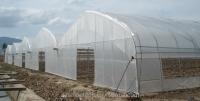 China 150/200 Micron Plastic Film Multi Span Greenhouse For Vegetable And Flower Growing for sale