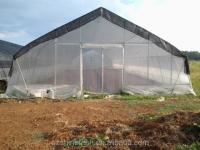 China Single Span Agricultural Greenhouses Shading Net Film Greenhouse For Tomato Planting for sale
