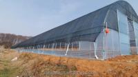 China Single Span Agricultural Greenhouses Shading Net Film Greenhouse For Tomato Planting for sale