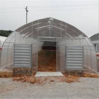 China Cooling System Single Span Agricultural Greenhouses For Tomato Agriculture for sale