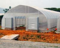 China Cooling System Single Span Agricultural Greenhouses For Tomato Agriculture for sale