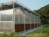 China Water Evaporative Cooling Pad For Chicken Farm Hot Dip Galvanized Steel Aluminum Frame for sale