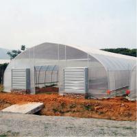 China Cooling System Single Span Agricultural Greenhouses For Tomato Agriculture for sale