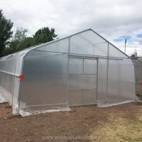 China Roof and Side Ventilation Single Span Film Greenhouse for Tomato Growing for sale