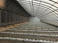 China Film Covered Solar Greenhouse for Sustainable Winter Cucumber Cultivation for sale