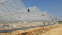 China Large Sawtooth Greenhouse Shine Tech Poly Tunnel Tropical Greenhouse With Ventilation for sale