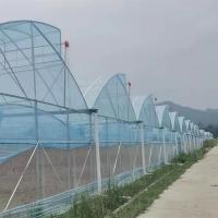 China Large Sawtooth Greenhouse Shine Tech Poly Tunnel Tropical Greenhouse With Ventilation for sale