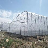 China Film Covered Solar Greenhouse for Sustainable Winter Cucumber Cultivation for sale