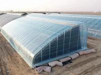 China Film Covered Solar Greenhouse for Sustainable Winter Cucumber Cultivation for sale