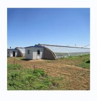 China Single Span Agricultural Greenhouses Durable For Winter Vegetable Production for sale