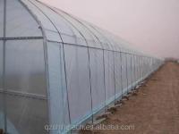 China Greenhouse Film Band 200m 250m 300m Length For Agriculture Greenhouse for sale