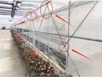 China Greenhouse Film Band 200m 250m 300m Length For Agriculture Greenhouse for sale
