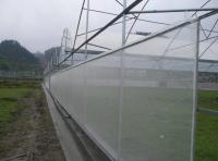 China 30-150G Greenhouse Shade Net HDPE UV Protection and Insect Proof Netting for Pest Control for sale