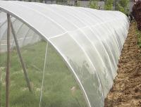 China 30-150G Greenhouse Shade Net HDPE UV Protection and Insect Proof Netting for Pest Control for sale