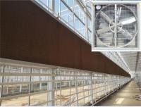 China Large Air Flow Exhaust Fan For Greenhouse Poultry House Ventilation System 60KG for sale