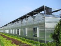 China Large Air Flow Exhaust Fan For Greenhouse Poultry House Ventilation System 60KG for sale