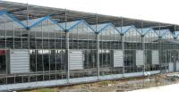 China 380/220V Poultry Industry Greenhouse Ventilation Exhaust Fan And Cooling Pad for sale