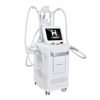 China Cryolipolysis Fat Freezing Machine LED Infrared Cooling System For Precise Body Contouring Fat Reduction for sale