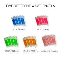 China LED PDT Light Therapy Machine 5 Color Skin Rejuvenation Healing System For Clinics for sale