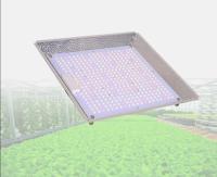 China Dimmable Full Spectrum White Light 660nm Quantum Board LED Grow Light For Indoor Growing for sale