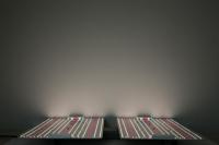 China 400W Full Spectrum LED Grow Light Quantum Board With A Remote Control for sale