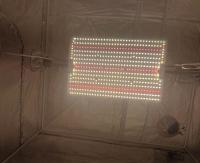 China High Efficiency LED Grow Light 200W Quantum Board 480*300*75mm for sale