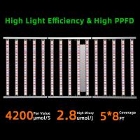 China Aluminum UV IR LED Grow Light 1600W 2 Channel 2400*1100mm Size 1600 Watt LED Grow Light for sale