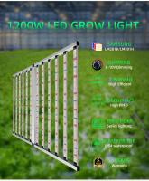 China 1200W LED Grow Light Panel Full Spectrum LED Light Panel For Plant Growth for sale