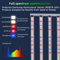 China Foldable Cultivation LED Light 1.1x2.4m 1000W LED Grow Lamps For Indoor Plants for sale