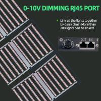 China Dimmable Vertical Farming LED Grow Lights 1000W 1 Channel Full Spectrum LED Grow Lights For Vertical Farming for sale