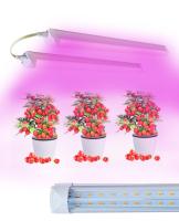 China 18W/36W T8 LED Grow Light Tube for Lettuce Mushroom Hydroponic Indoor Growing Stand 70lm/w Efficiency for sale