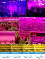 China 18w 28w 36w Full Spectrum LED Grow Light Tube Vertical Farm Hydroponics Clone Plants LED Grow Light for sale