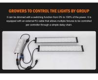 China 200w LED Grow Light Quantum Board 400PCS LEDs and PPF of 480±5% umol/s for Plant Growth for sale