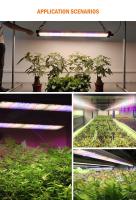 China 200w LED Grow Light Quantum Board 400PCS LEDs and PPF of 480±5% umol/s for Plant Growth for sale