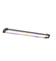 China 320w Full Spectrum LED Grow Light , LED Grow Light Quantum Board High Efficiency for Indoor Garden for sale
