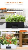 China Medium-Sized Hydro Power Plant Equipment , Hydroponic Indoor Planter With Advanced LED Lighting System for sale
