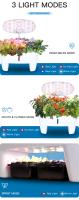 China Home Hydroponic Pots For Houseplants With Intelligent Circulating Water Pump And Watering for sale