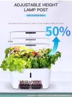 China Home Hydroponic Pots For Houseplants With Intelligent Circulating Water Pump And Watering for sale