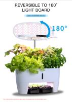China Home Hydroponic Pots For Houseplants With Intelligent Circulating Water Pump And Watering for sale