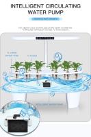 China Home Hydroponic Pots For Houseplants With Intelligent Circulating Water Pump And Watering for sale