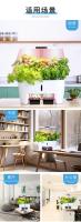 China Home Hydroponic Pots For Houseplants With Intelligent Circulating Water Pump And Watering for sale