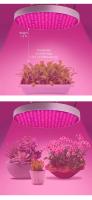 China Epistar Chips 50W UFO LED Grow Light for Full Spectrum Plant Growth Product Size Φ330*35mm for sale
