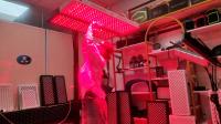 China Electric Infrared Light Therapy Devices with 20 Minutes Treatment Time and Electric Power 700W for sale