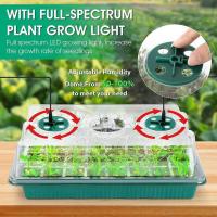 China 40 Cell Seedling Starter Trays For Seed Germination , Garden Supplies Plant Growing Nursery Kits for sale
