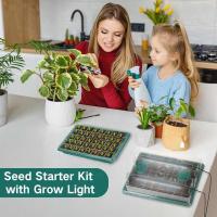 China Rectangular 40 Cell Plant Seedling Trays for Easy Planting Solutions and Efficiency for sale