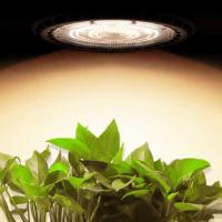 China Aluminum Body UFO Round Design 200W LED Grow Light for Home Growing Full Spectrum Tent Hobby for sale